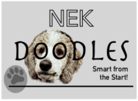24/7 Live Puppy Cameras – NEK Doodles